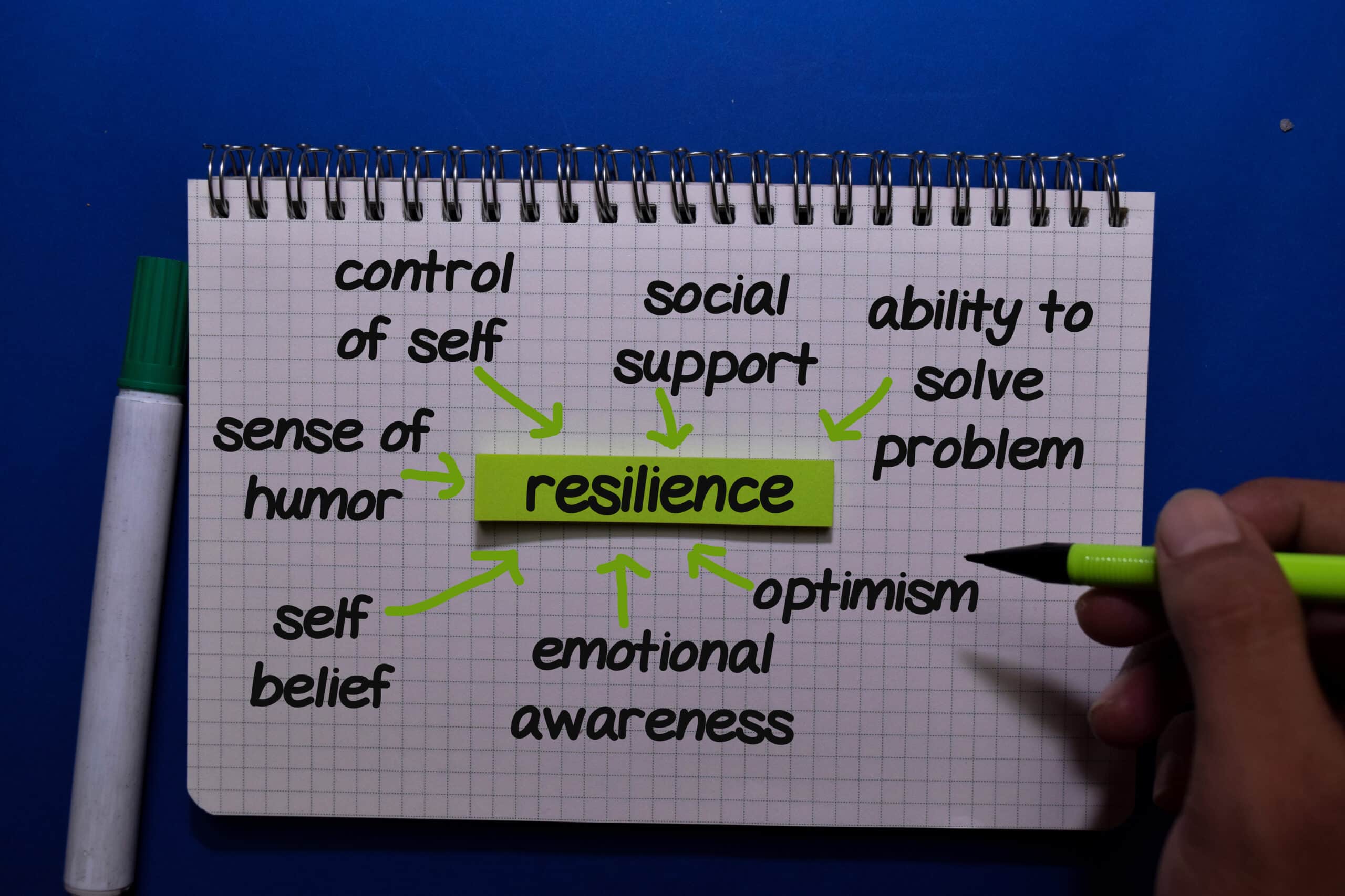 Resilience in Change: Building Emotional Fortitude & Grit | Training