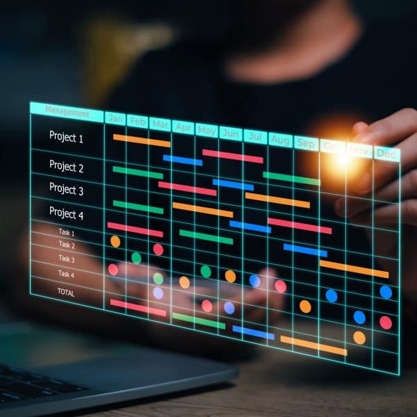 Program Management Essentials | Training Course | AMS