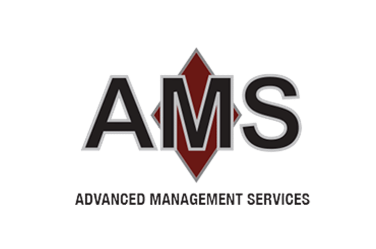 Management Consulting | Training | AMS